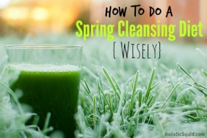 Spring Cleansing Diet - Holistic Squid