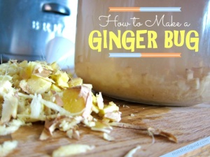 How To Make A Ginger Bug - Holistic Squid